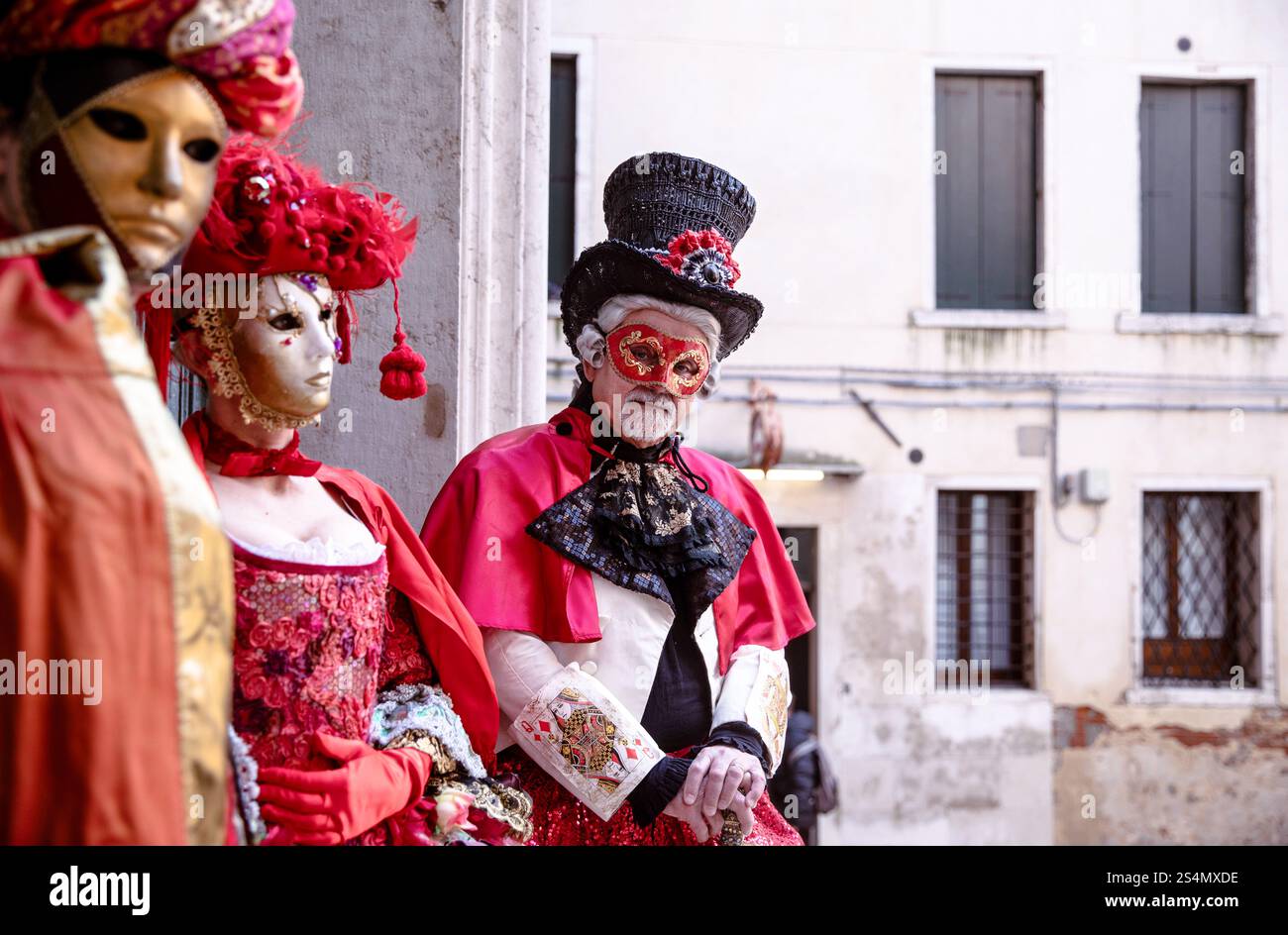 Venetian carnival: female and male participants in elaborate cos Stock ...