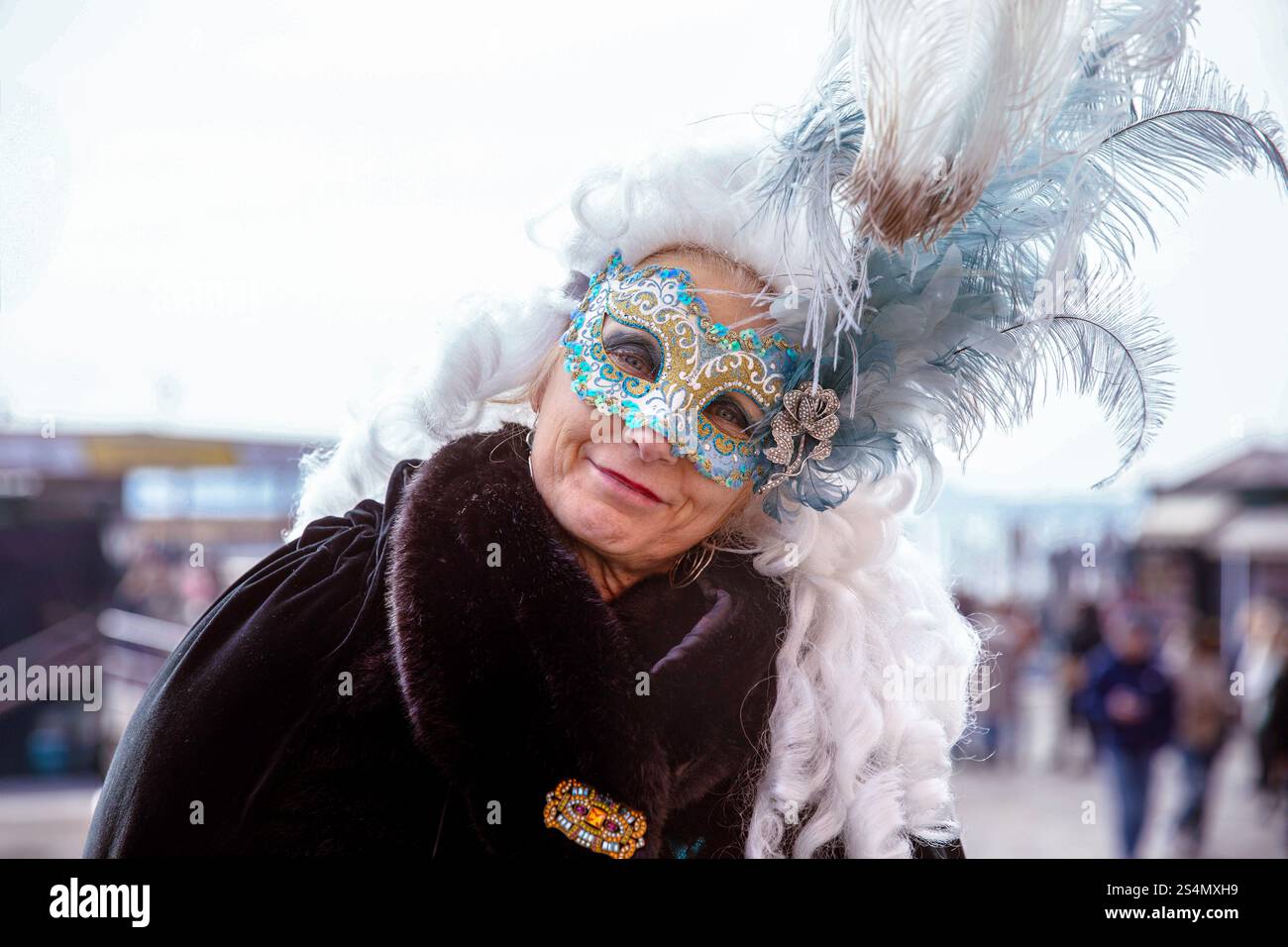 Elaborate masked female in feathered costume at carnival event Stock ...