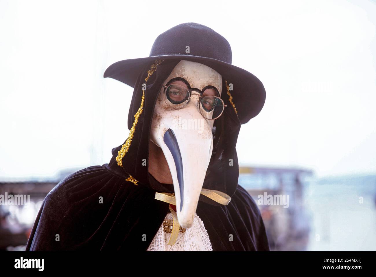 Plague doctor mask costume with beak hat and glasses Stock Photo - Alamy