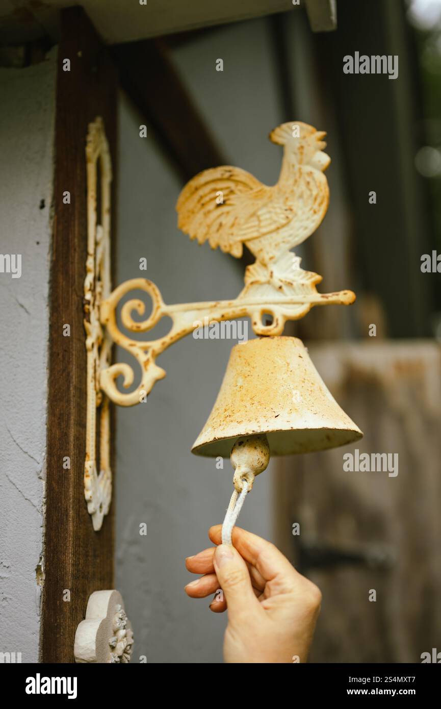 Hand ringing a rustic bell with a rooster design mounted on a barn ...