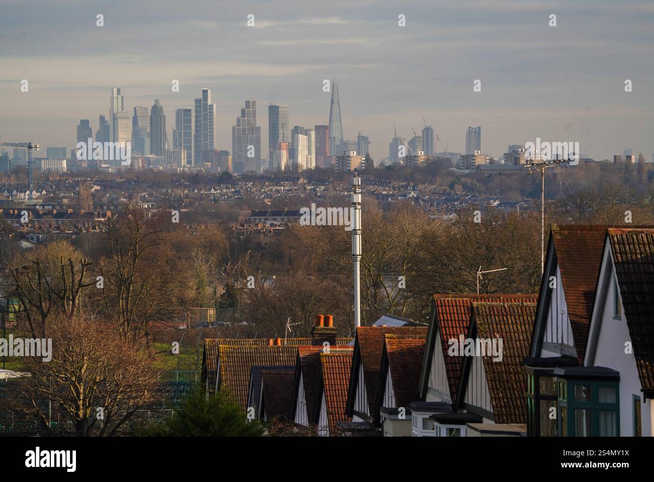 Wimbledon , London 13 January 2025 London skyline and financial ...