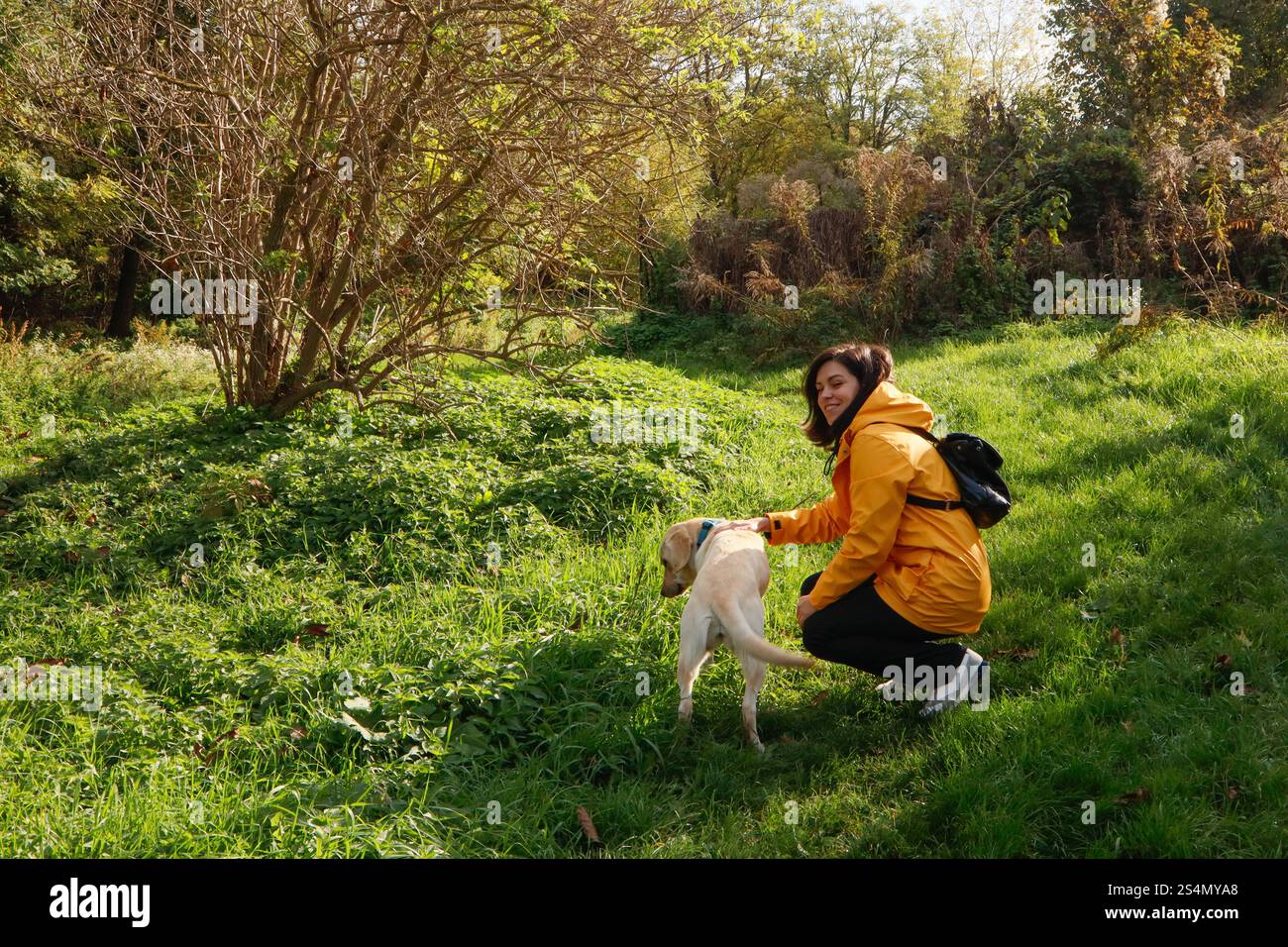 Woman in yellow jacket bonding with her labrador in the forest Stock ...