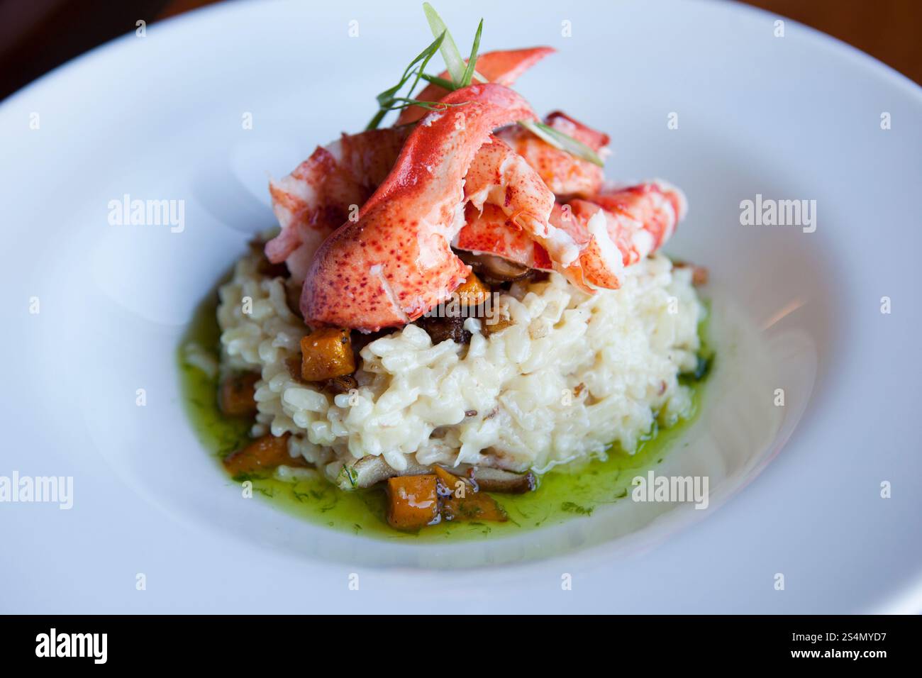 A gourmet lobster risotto sits in elegant white dish at restaura Stock ...