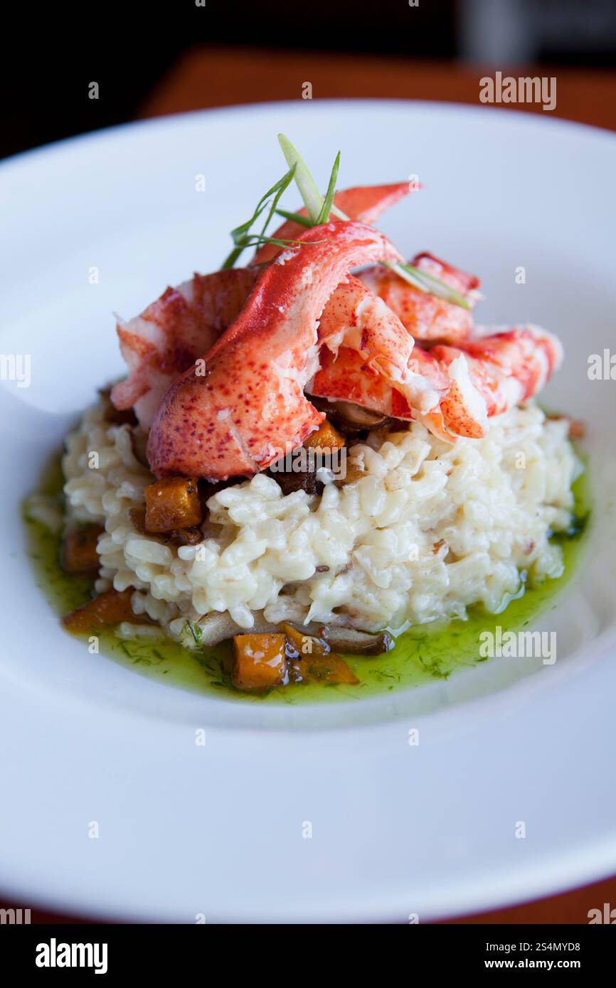 A gourmet lobster risotto sits in elegant white dish at restaura Stock ...