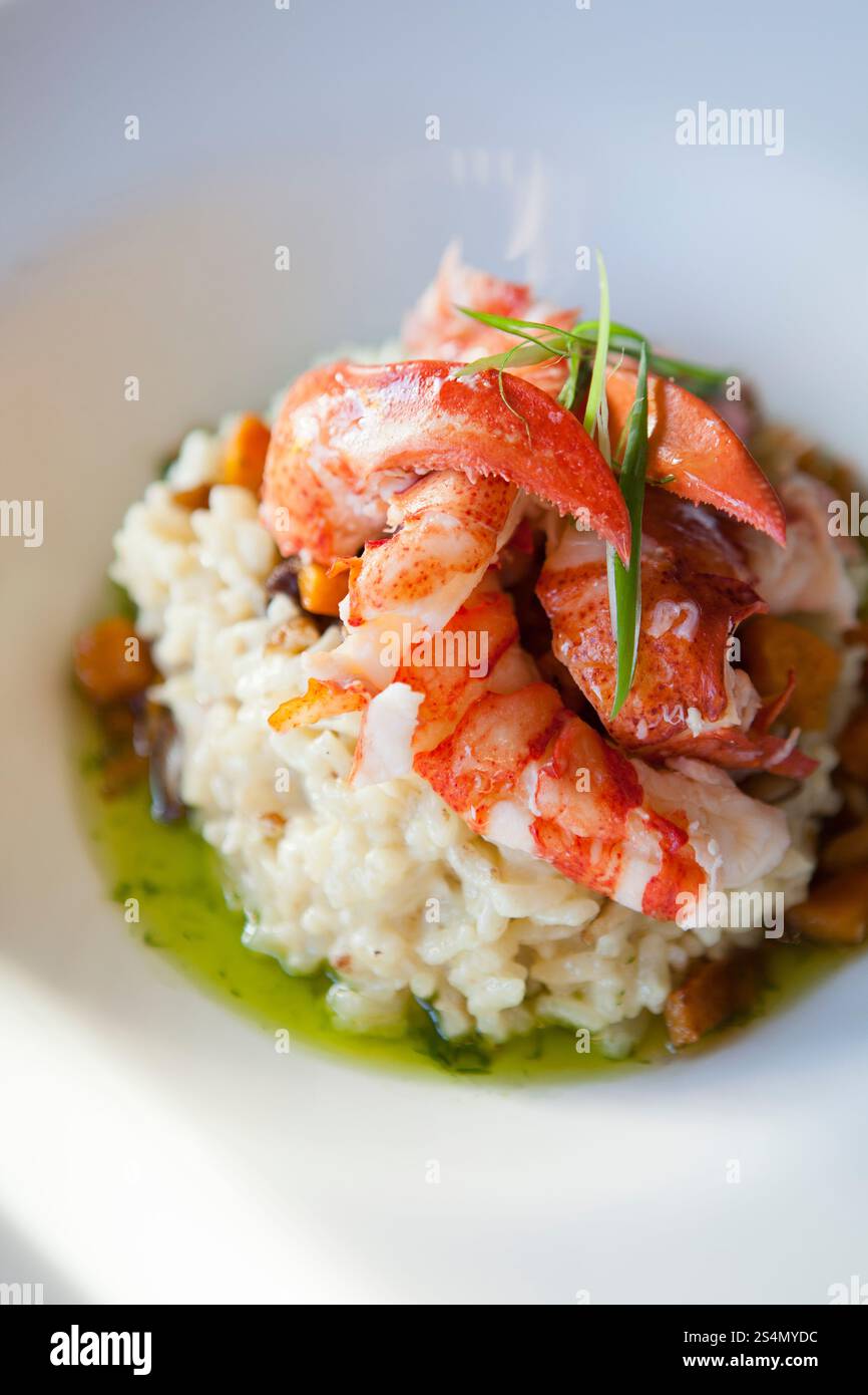 A gourmet lobster risotto sits in elegant white dish Stock Photo - Alamy