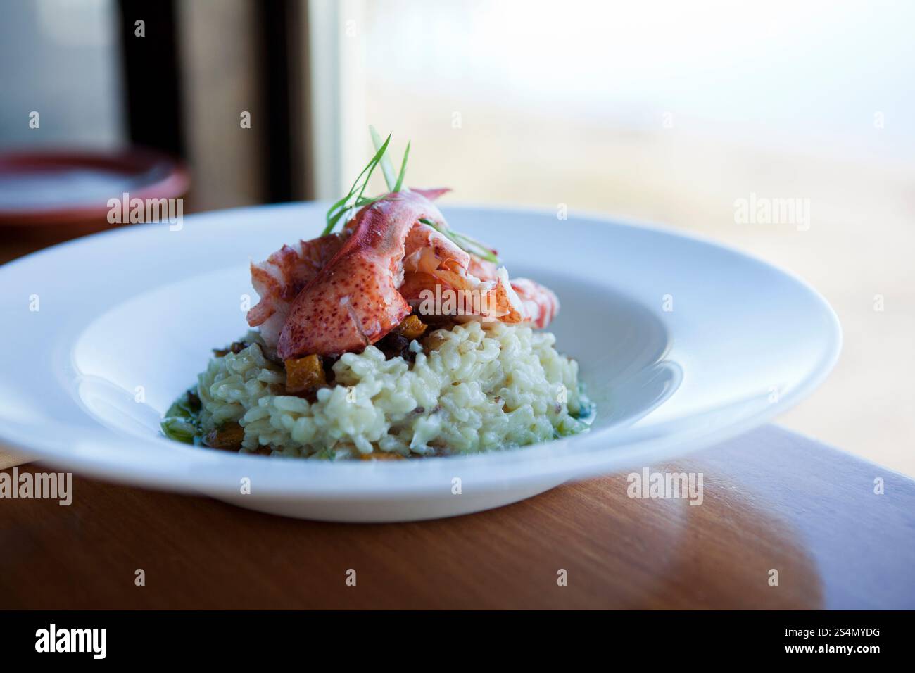 A gourmet lobster risotto sits in elegant white dish at restaura Stock ...