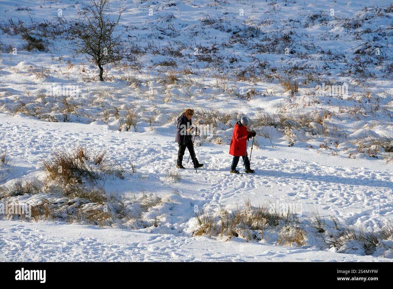 Snow scenes in Derbyshire Peak District National Park England UK ...