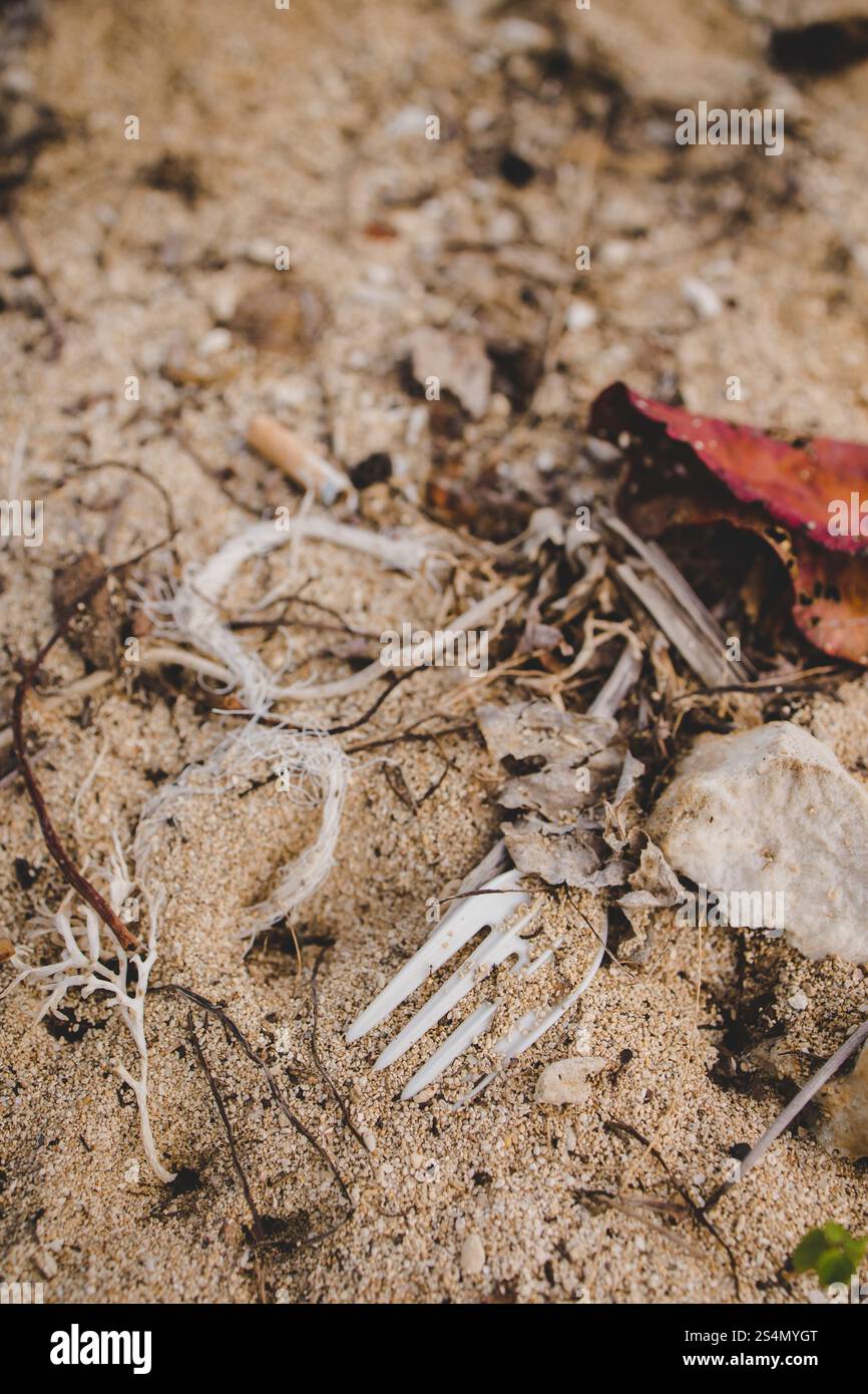 Hawaii beach with plastic waste Stock Photo - Alamy