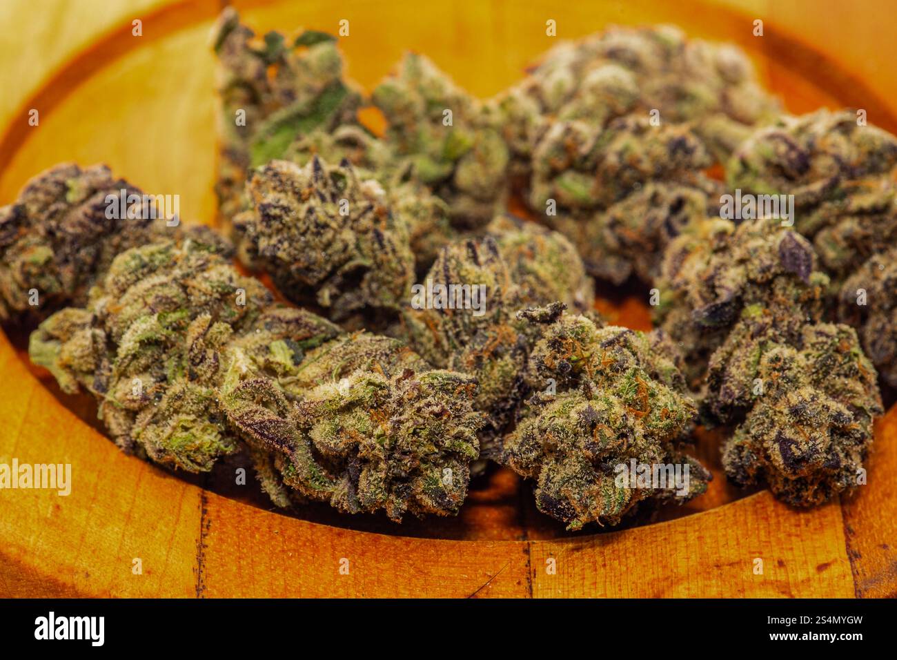 AAA INDOOR TUNNEL GROWN CANNABIS Stock Photo - Alamy