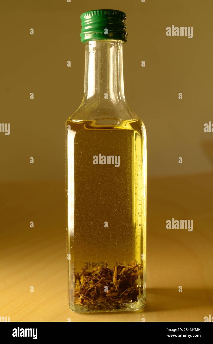 A miniature bottle of absinthe with the wormwood herb being extracted ...
