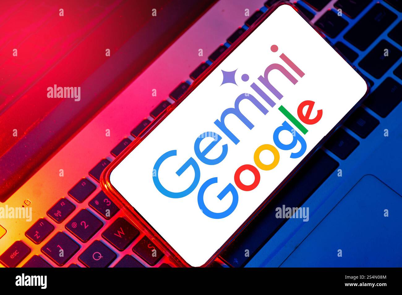 pringsewu; lampung; january 13, 2025; this photo illustration shows the ...