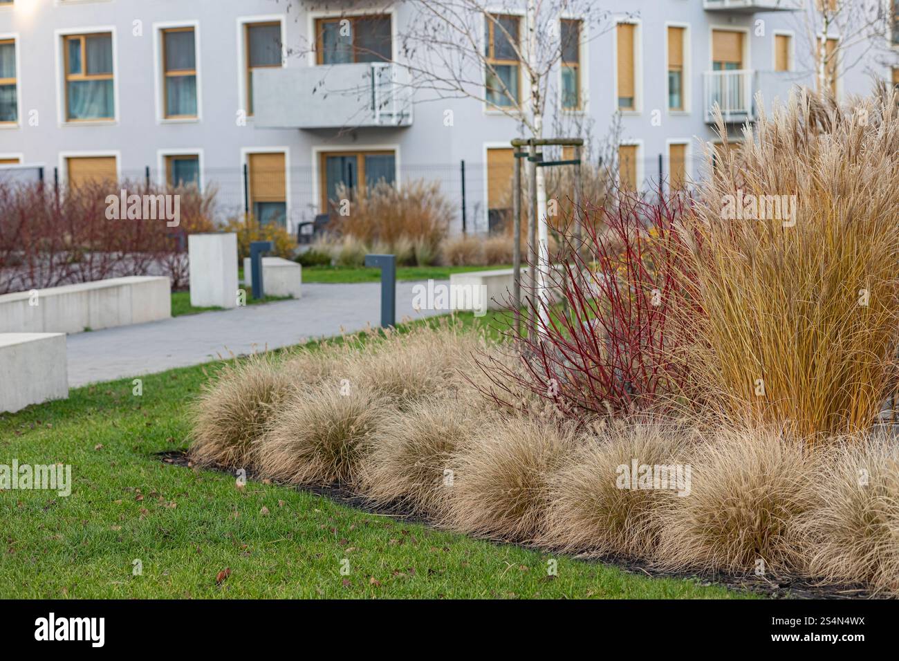 Beautiful urban landscaping in a modern residential courtyard with ...