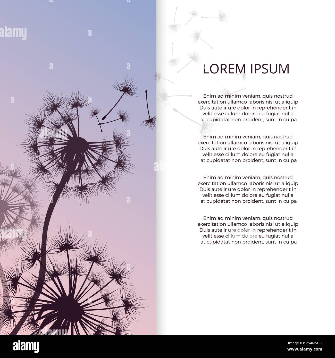 Fashion dandelion flower banner or poster design. Floral concept ...