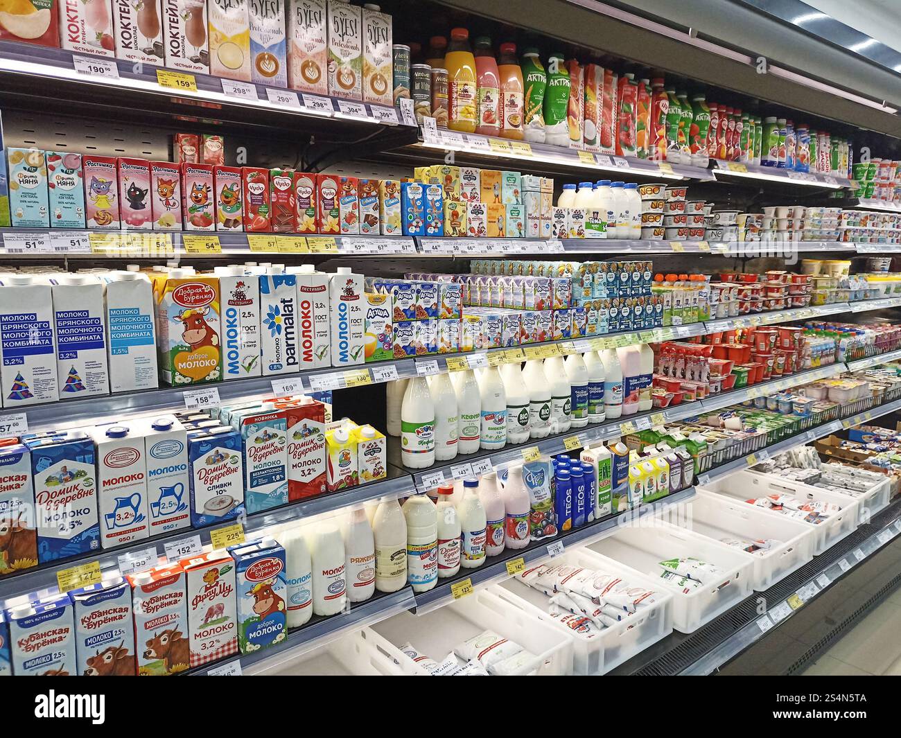 Diverse dairy products display on supermarket shelves filled with milk ...
