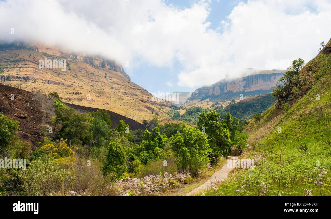 The Drakensberg mountains in South Africa are one of the rare places ...