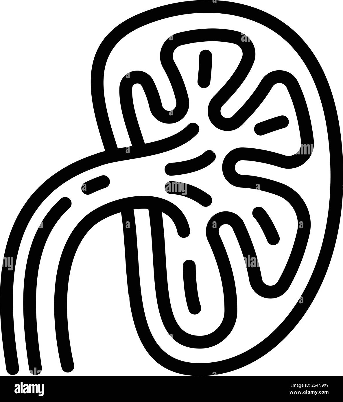 Spleen in section icon. Outline spleen in section vector icon for web ...