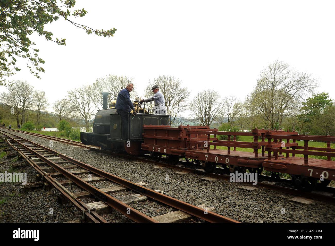 "Winifred" at Llangower with a train of slate wagons Stock Photo - Alamy