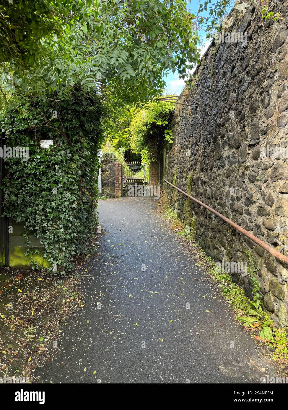 A narrow, paved pathway lined with stone walls and lush greenery ...