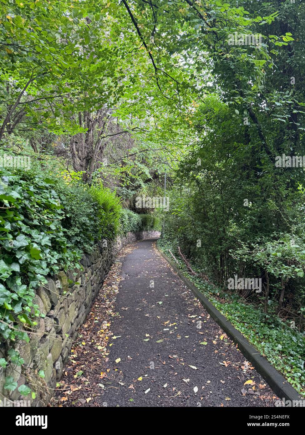 A narrow paved path surrounded by lush green foliage and trees, with a ...