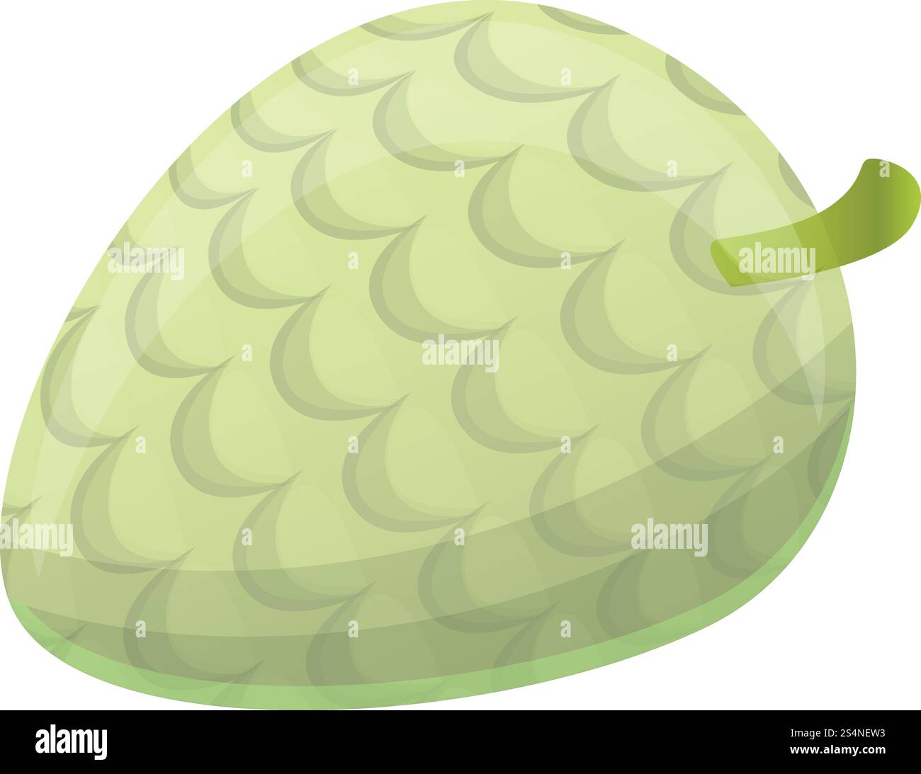 Sugar soursop icon. Cartoon of sugar soursop vector icon for web design ...