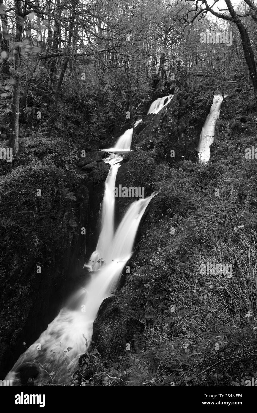 Full force Black and White Stock Photos & Images - Alamy