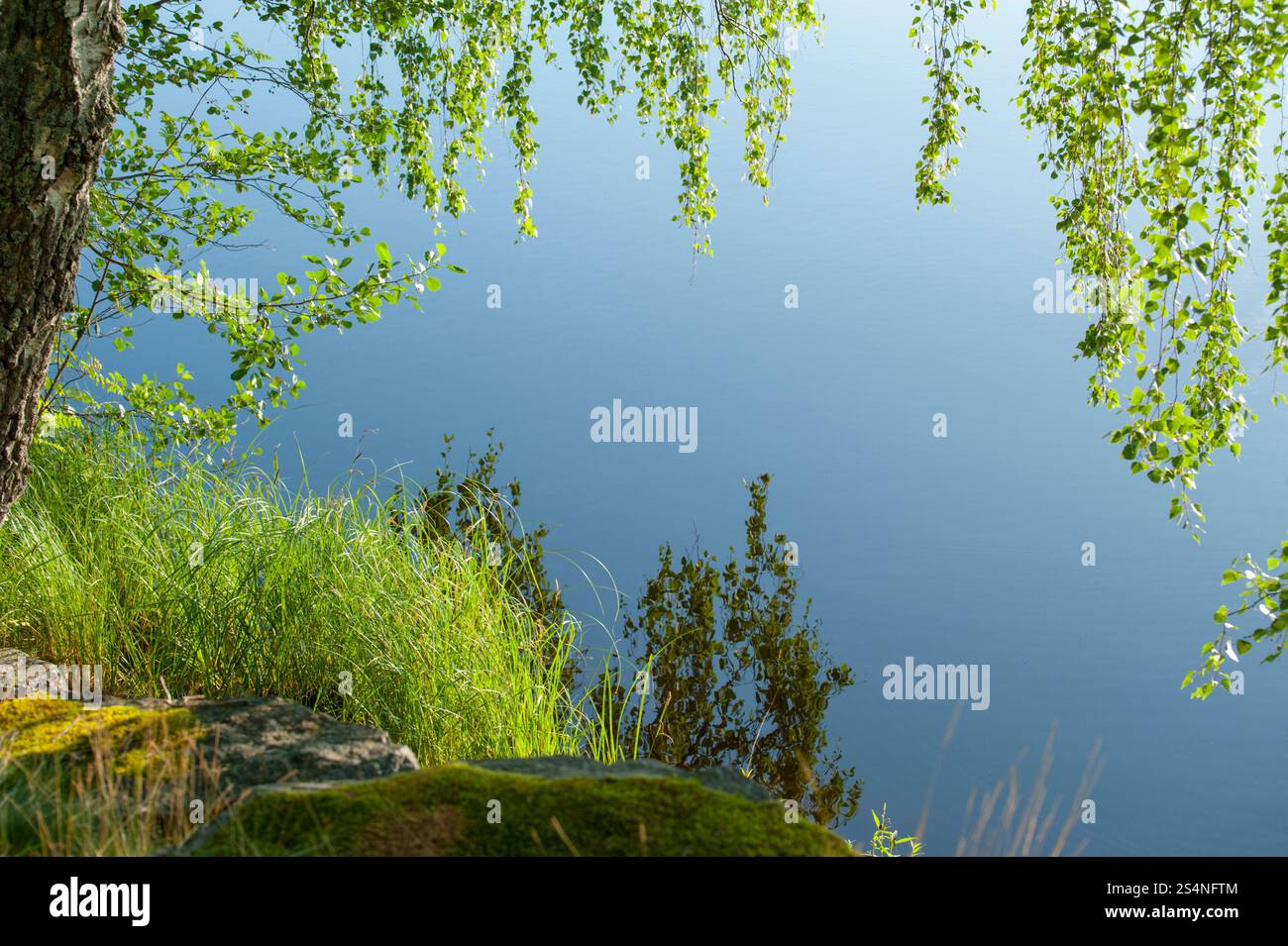 Natural framing by the greenery Stock Photo - Alamy