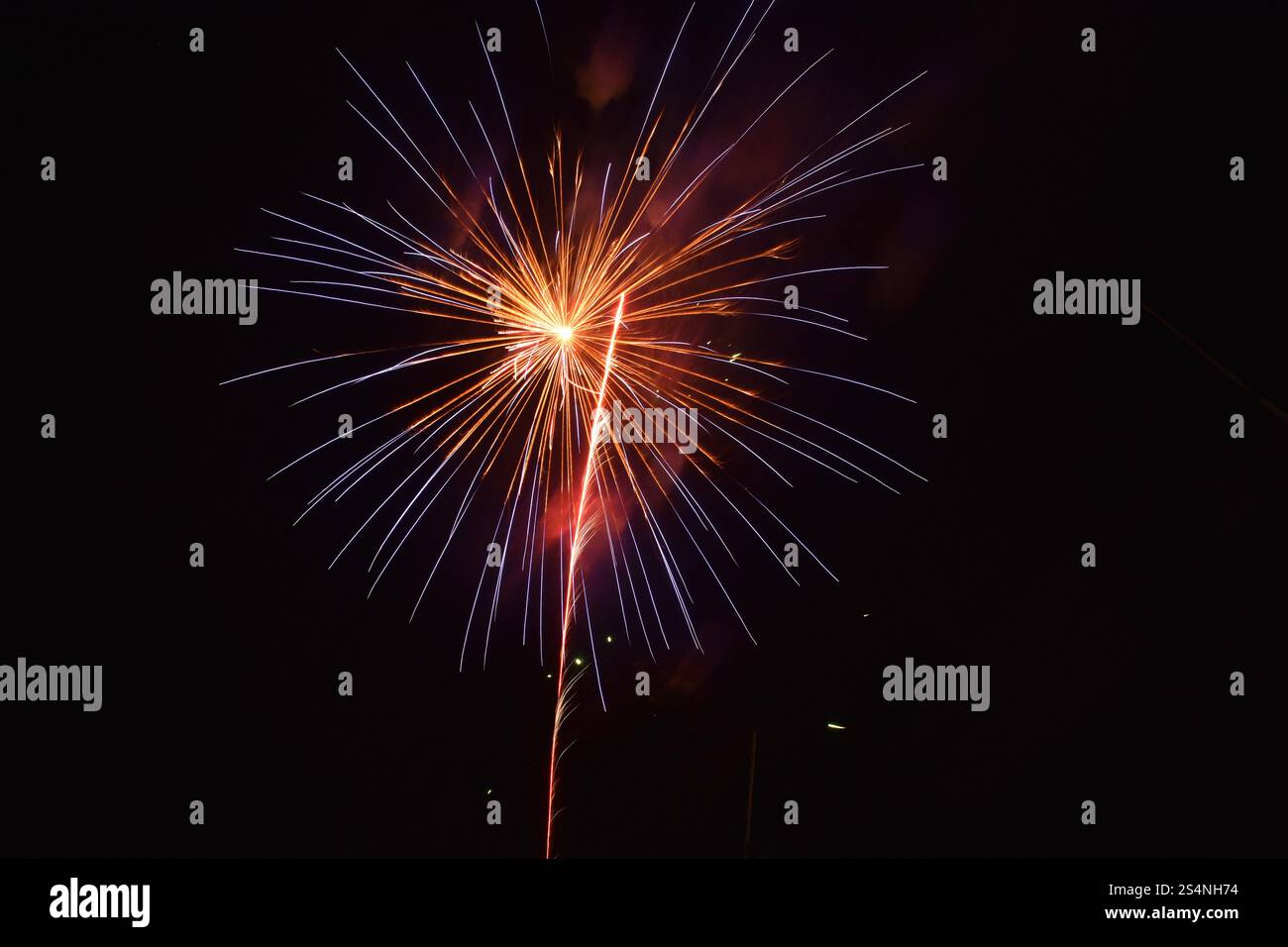 colorful celebrated fireworks bloom on dark sky in night Stock Photo ...