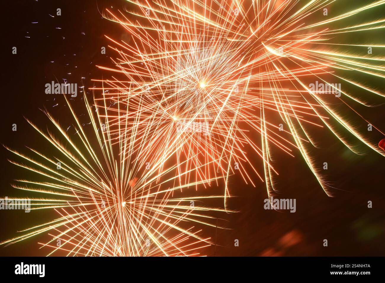 colorful celebrated fireworks bloom on dark sky in night Stock Photo ...