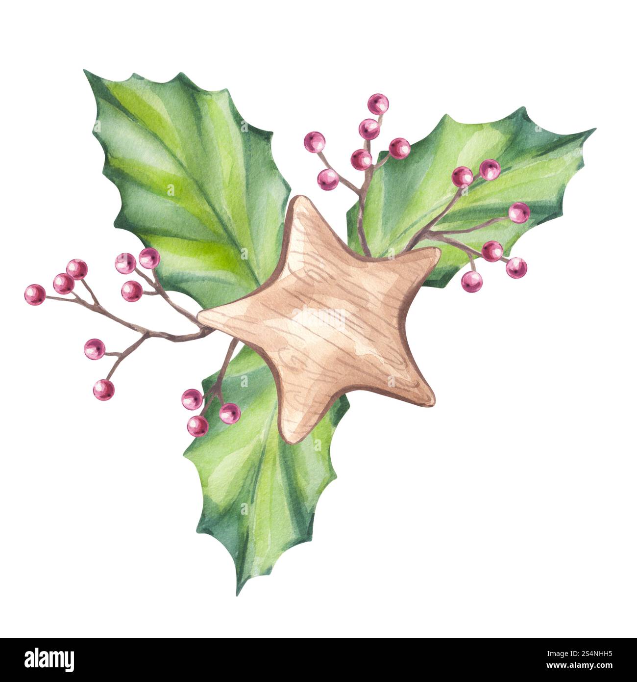 Wooden star holly branch, red berries ilex twig. Christmas botanical ...