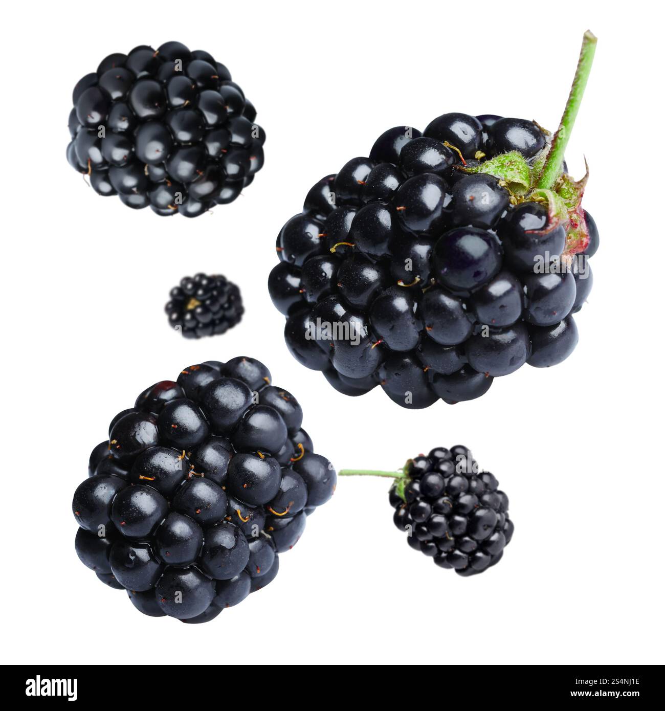 Fresh blackberries in air on white background Stock Photo - Alamy