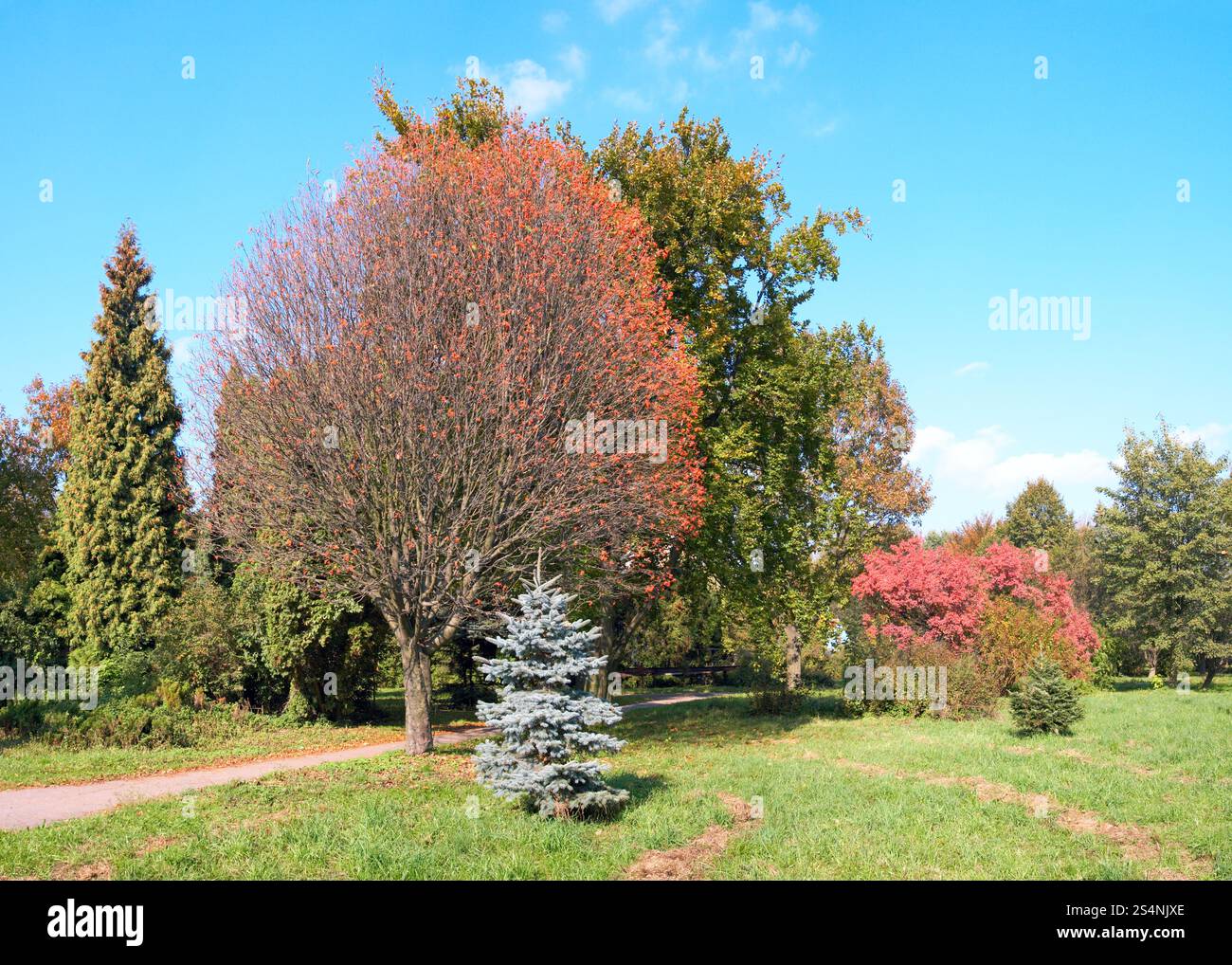 Colourful autumn park. Four shots composite picture Stock Photo - Alamy