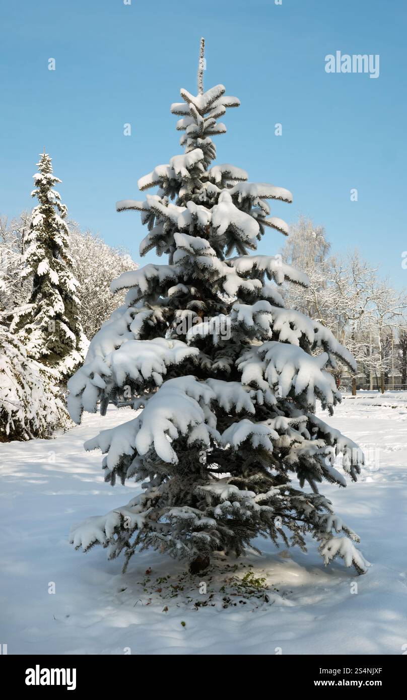 Tree covered park hi-res stock photography and images - Alamy