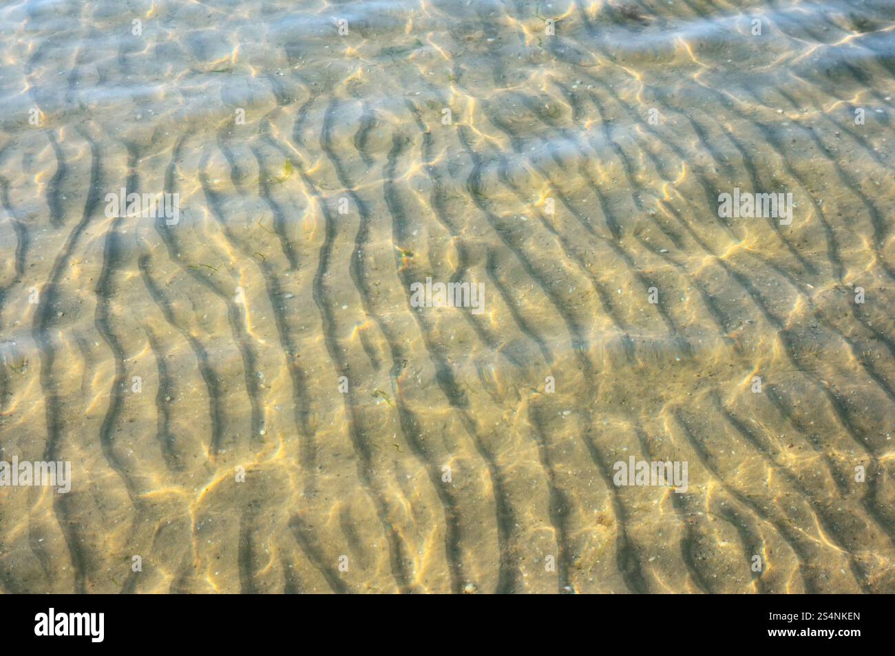 Sandy sea bottom in through water Stock Photo - Alamy