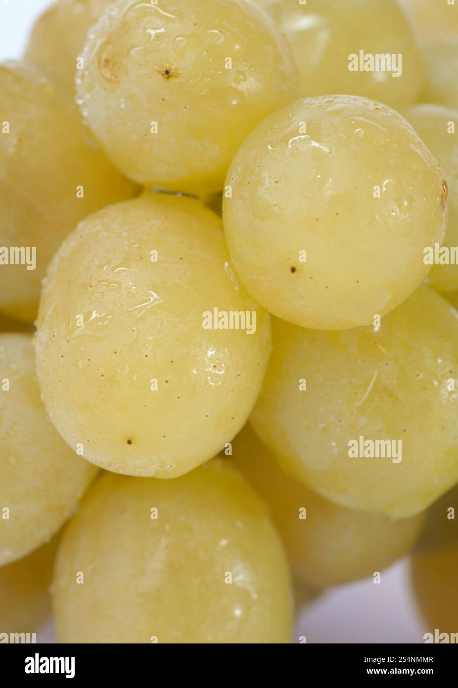 Closeup part of wet white grapes bunch on light background Stock Photo ...