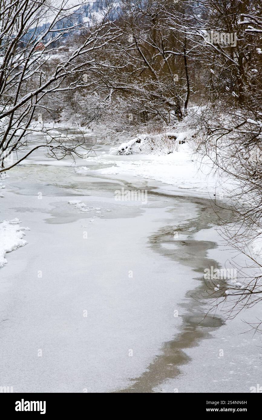 winter mountain river with rime covered trees and bushes on riverside ...