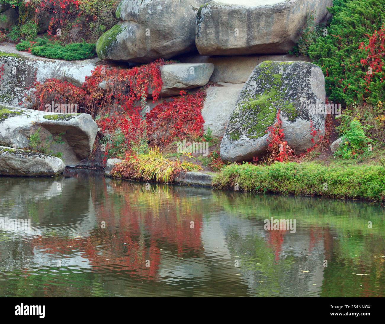 Pond water surface with reflection of big stones in autumn park Stock ...