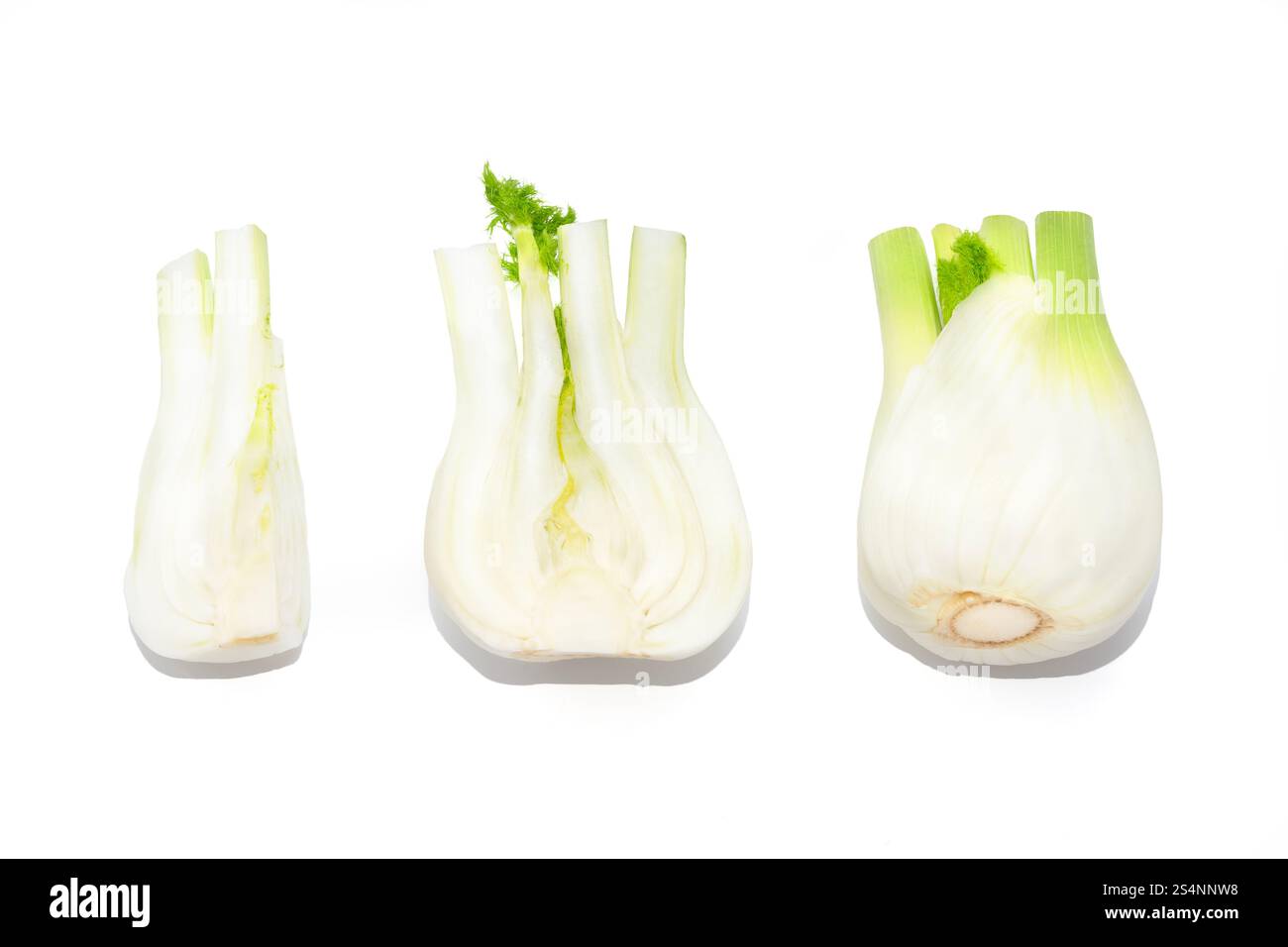 Half and part and whole fennel bulb located on white background ...
