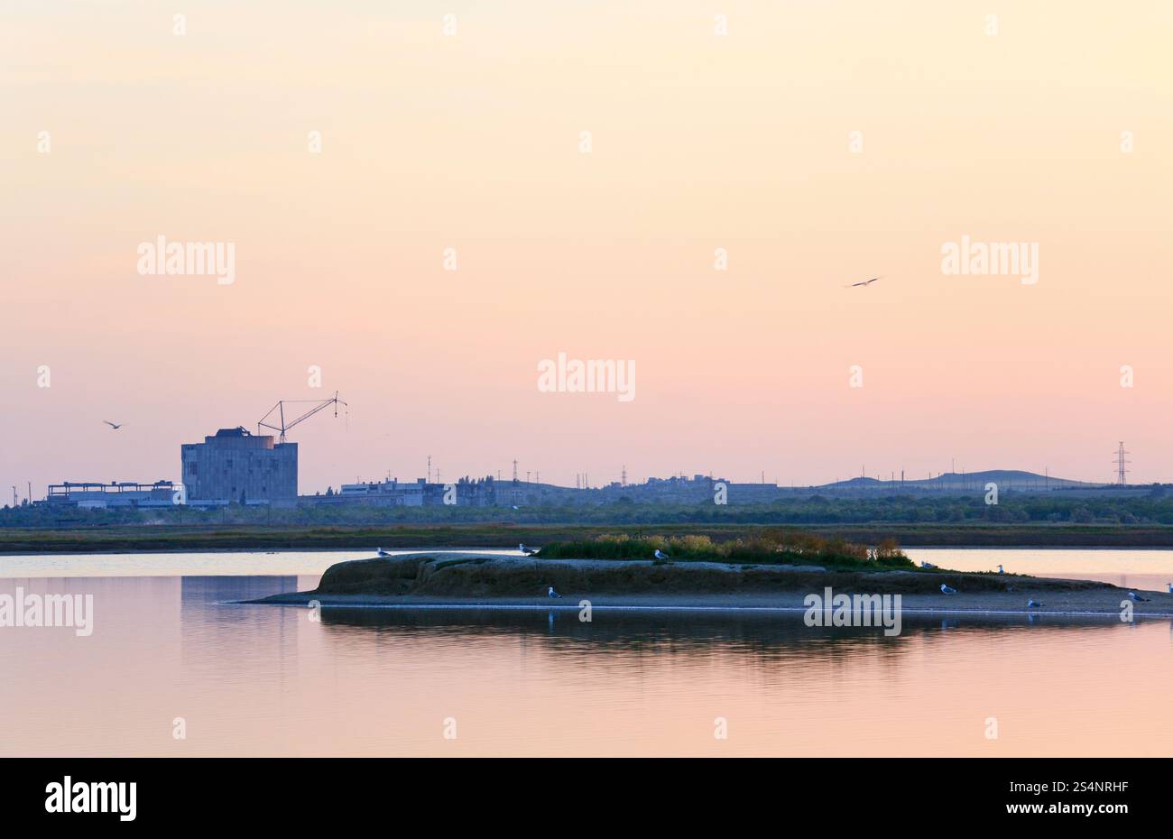 unfinished desertion energetic block of atomic power plant and gull ...