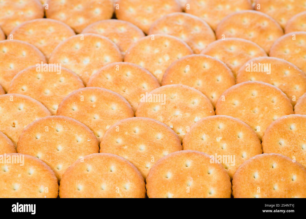 Round biscuit biscuits hi-res stock photography and images - Alamy