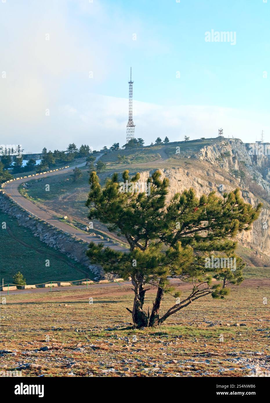 pine tree and radio -communication tower on mountain peak (Aj-Petri Mountain, Crimea, Ukraine ...