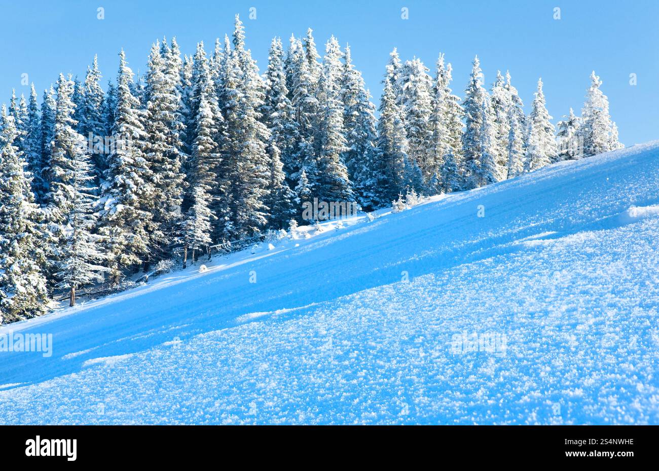 Winter mountain view with snow surface on mountainside in front and fir ...