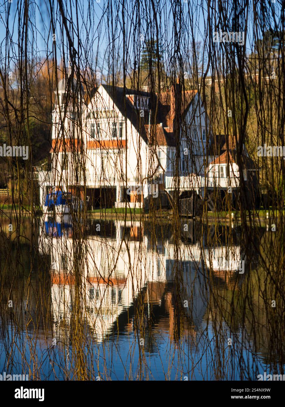 Luxury House, viewed through Willow Tree, The Warren, Caversham ...