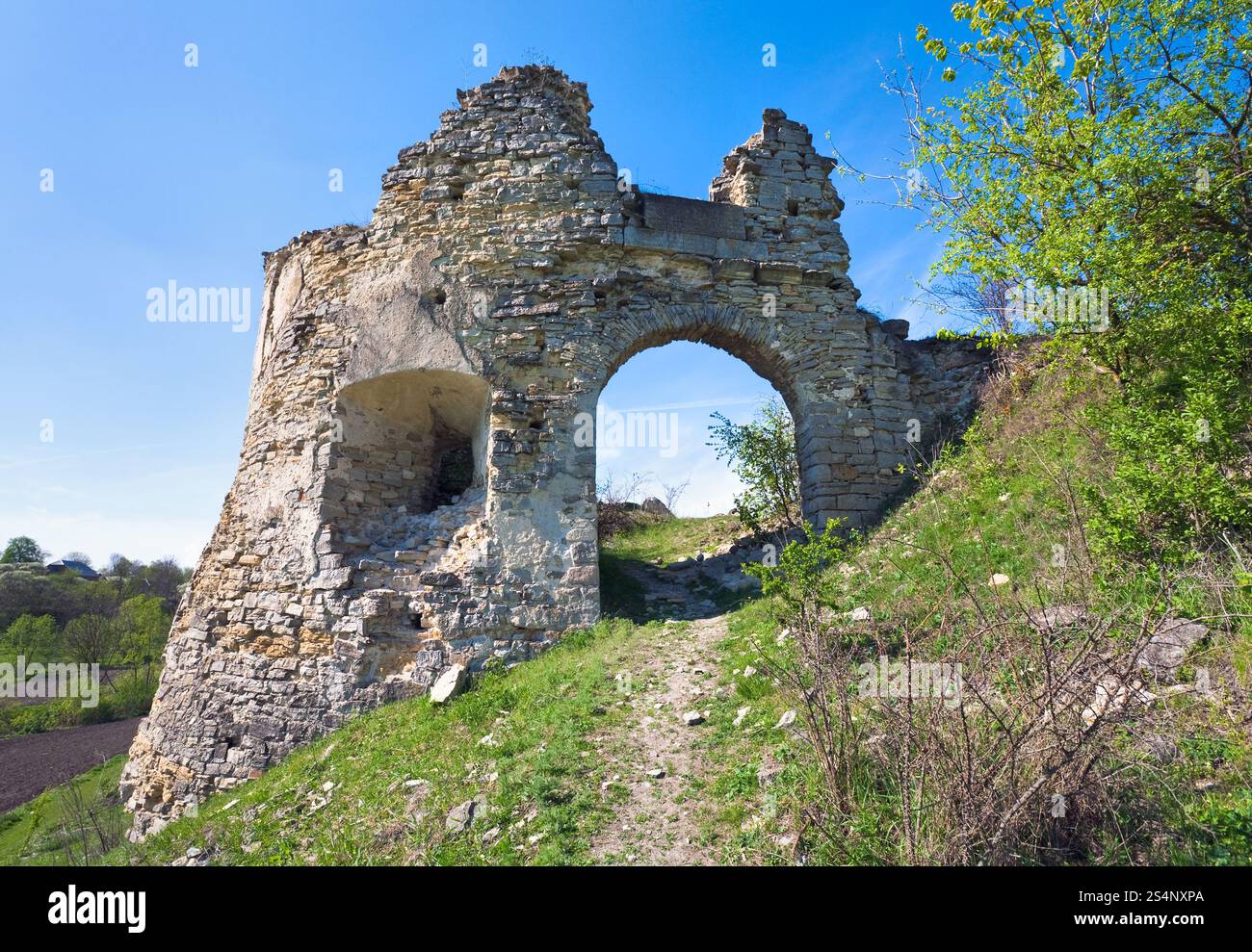 Spring view of Castle ruins (Sydoriv village, Ternopil region, Ukraine ...