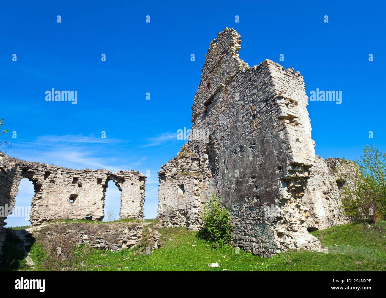 Spring view of Castle ruins (Sydoriv village, Ternopil region, Ukraine ...