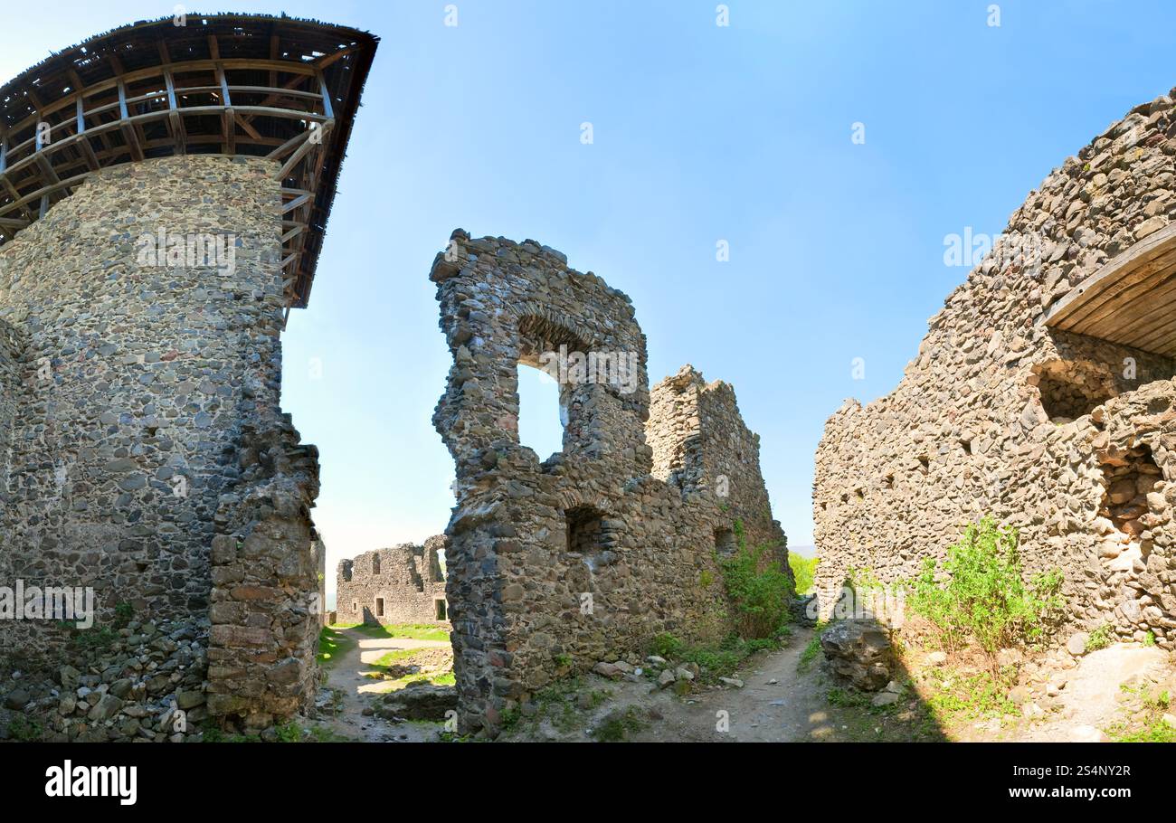 Summer view of Nevytsky Castle ruins (Kamyanitsa village ,12 km north ...
