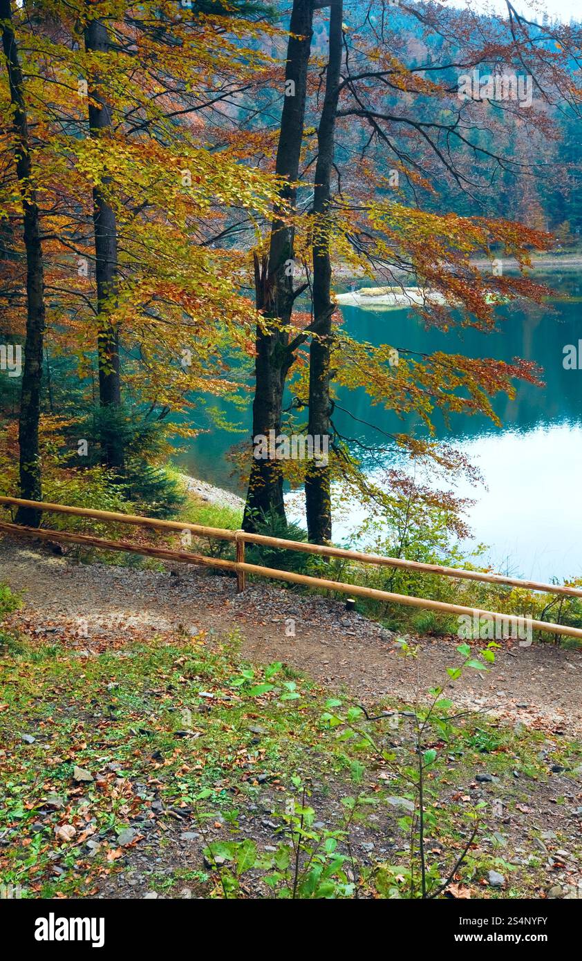 View through tree foliage hi-res stock photography and images - Alamy
