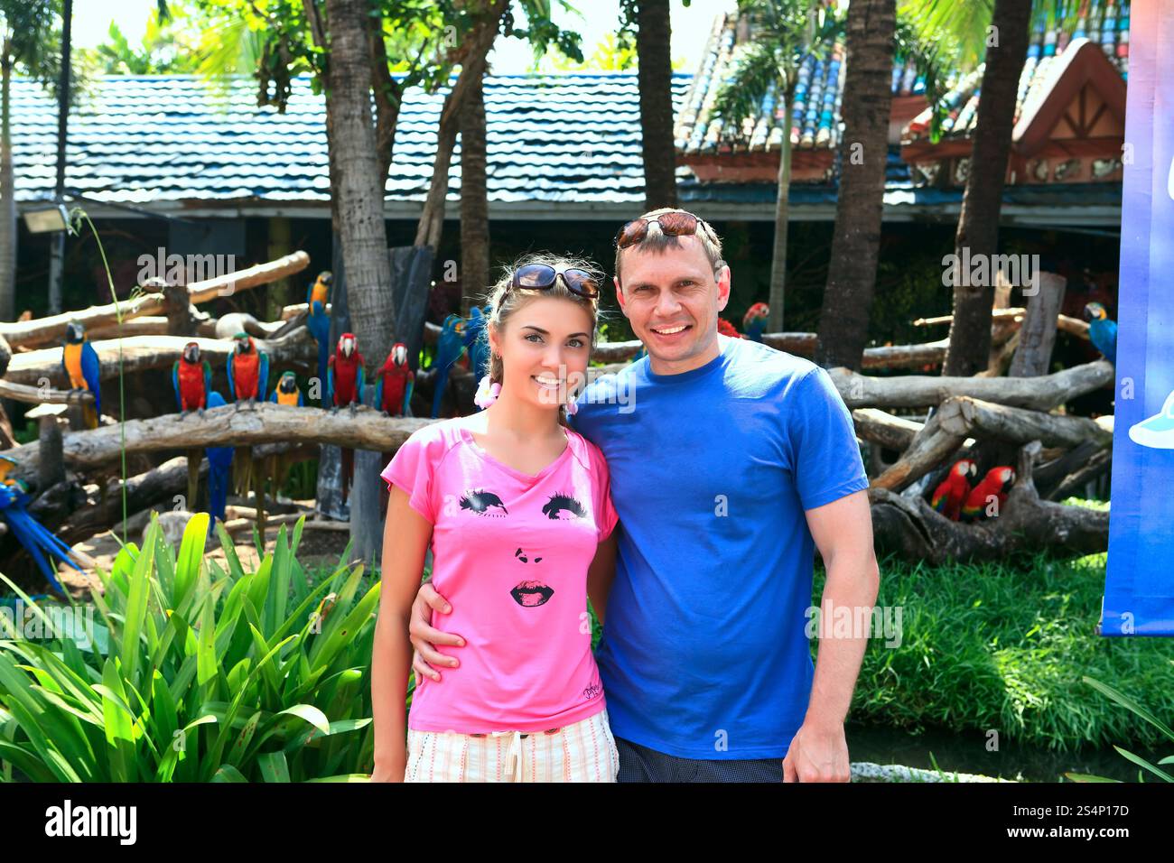Happy pair stay together at a parrot background Stock Photo - Alamy