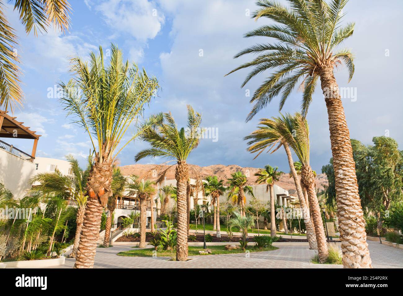 Jordanian home hi-res stock photography and images - Alamy