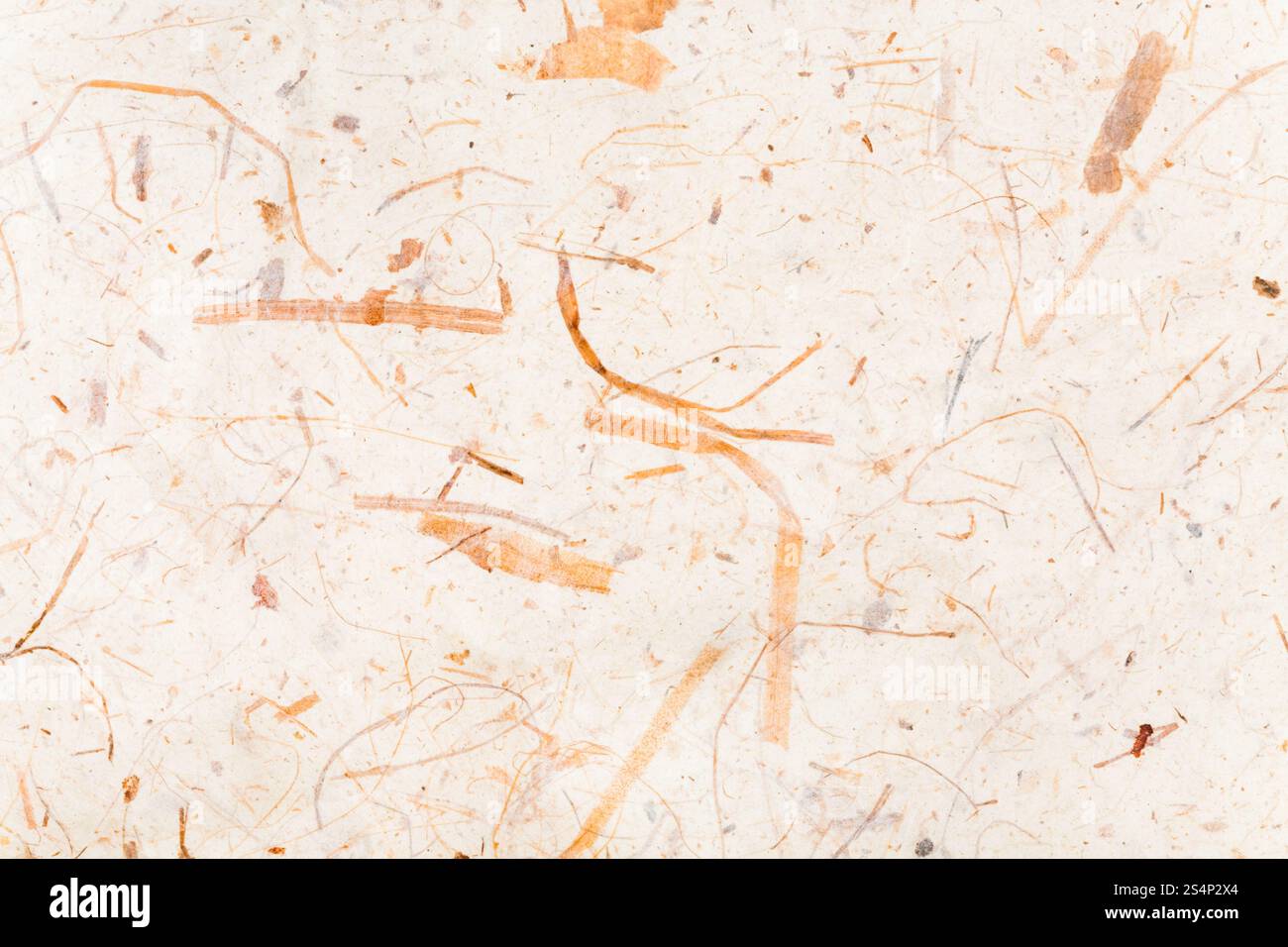 background from hand-made paper with grass Stock Photo - Alamy