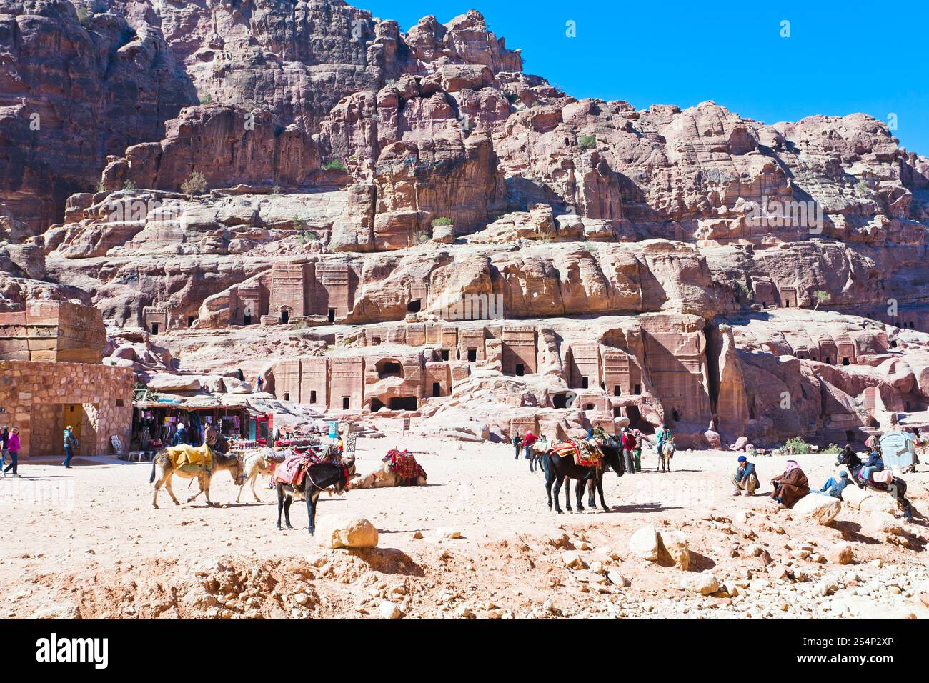 Bedul bedouin hi-res stock photography and images - Alamy